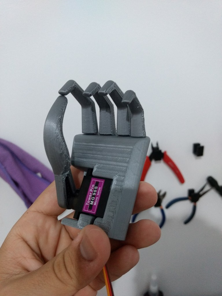 Prosthetic Hand Science Project - Electronic component at low cost